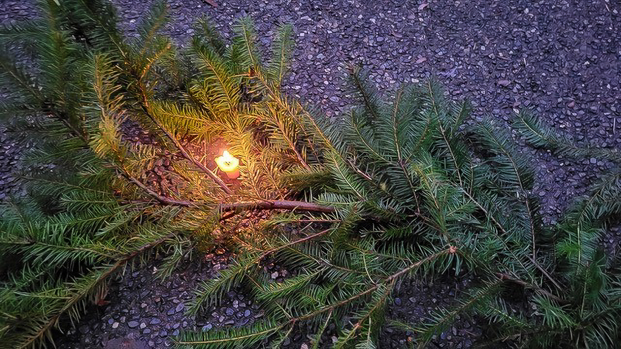 Solstice Celebration | Taking Time for Joy - Comox Valley Art Gallery